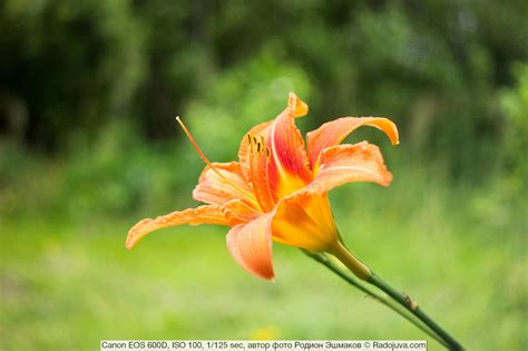 LOMO T-43 40/4, adapted for cameras with EF mount. Review from the ...