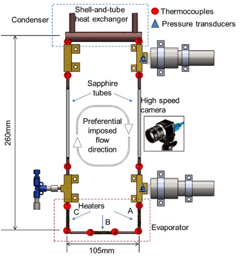 Single Loop Pulsating Heat Pipe Slphp With Position And Numbering Of Download Scientific