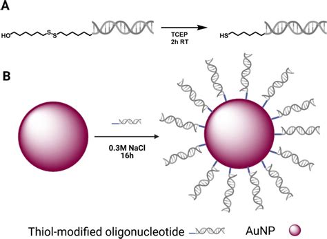 Fig Schematic Representation Of A Deprotection Antisense RNA Design Delivery