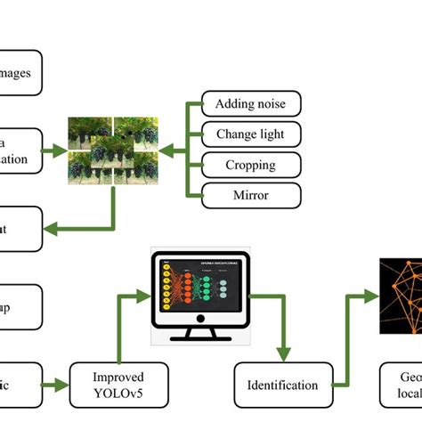 Network Structure Of Yolov5 Cfd Download Scientific Diagram