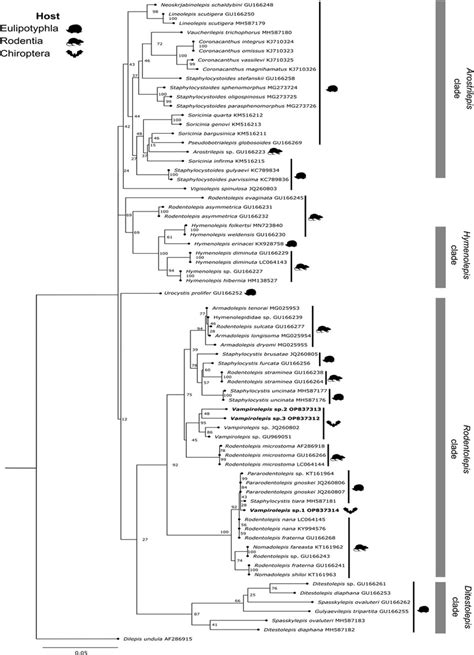 Phylogenetic Tree Based On The Ml Analysis Constructed On Partial Large
