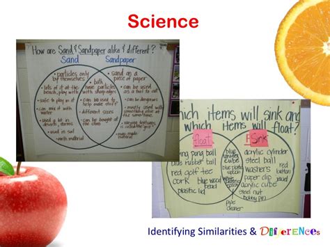 Science Identifying Similarities Differences Riset