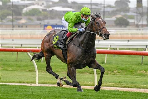 Tralee Rose Spot On For Bart Cummings Racing And Sports