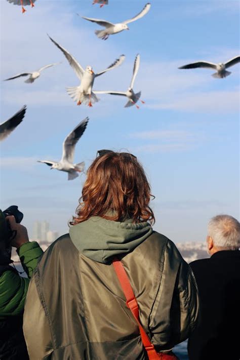 이스탄불 해안가 위를 날고 있는 갈매기들 · 무료 스톡 사진