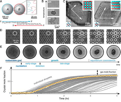 Figure 1 From Self Assembly Of Photonic Crystals By Controlling The
