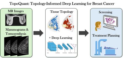 Improving Breast Cancer Diagnosis And Treatment With Ai And Mathematical Models