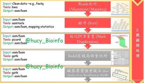 Ngs数据分析实践：06 数据预处理 序列比对pcr重复标记indel区域重比对碱基质量重校正fail To Locate