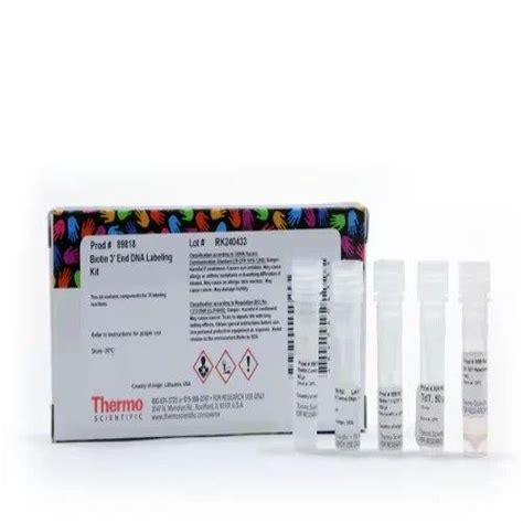 Pierce Biotin 3 End Dna Labeling Kit 89818 At ₹ 79508 Piece Microbiological Reagent In