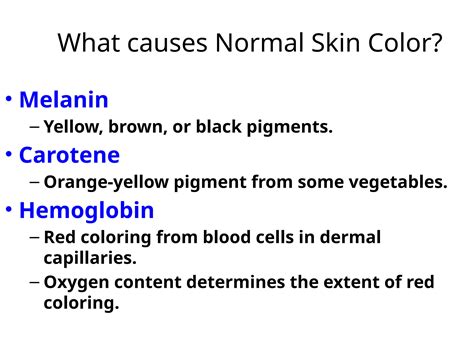 Integumentary System Structure Functions And Importance Pptx