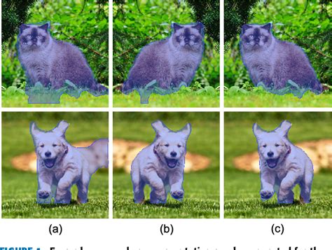 Figure 1 From Segmentation Mask Refinement Using Image Transformations