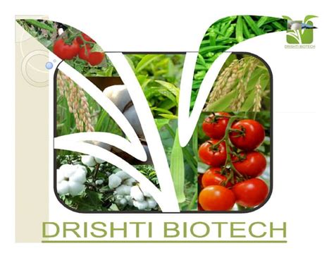 coporate ppt dbpl copy pd ppt