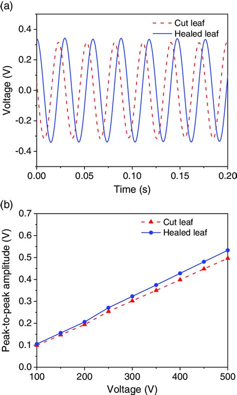 Actuation Performance Of Leaf Actuators At Different States Cut And