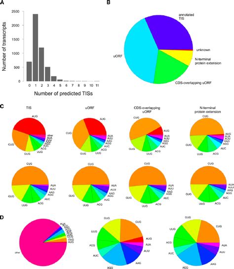 codon usage and functional classification of neural network defined