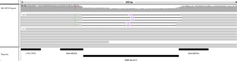 Identifying Structural Variants In Na12878 From Low Fold Coverage