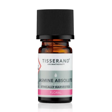 5 Best Diffuser Essential Oil Blends For Your Entranceway The Peak Dream