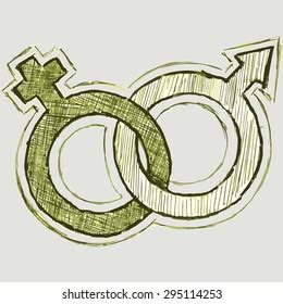 Male Female Sex Symbol Vector Image Stock Vector Royalty Free 295114253 Shutterstock