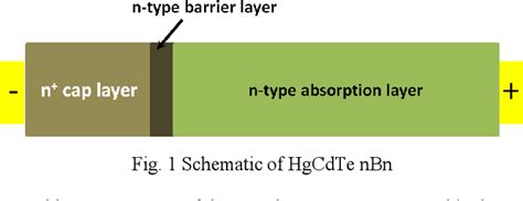 Figure 2 From Numerical Simulation Of Hgcdte Nbn Long Wavelength Infrared Detector Semantic