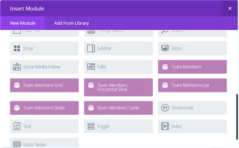 Divi Plugin Highlight Divi Team Members