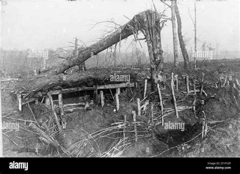 Woerner Eugen Herr Collection Machine Gun Dug Out Argonne August