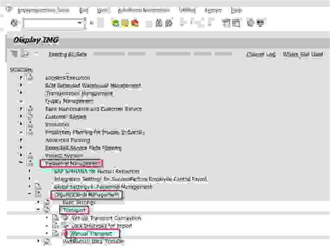 Set Up Transport Connections