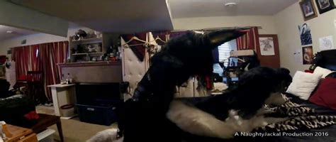 Othieno Tops A Husky