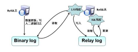 mysql主从复制与读写分离 csdn博客