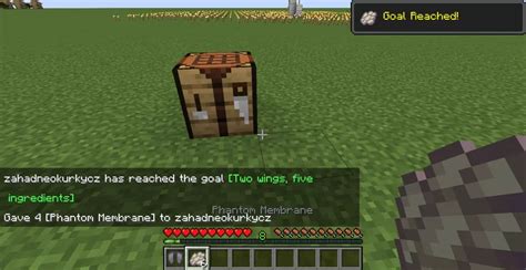 Elytra Craft Minecraft Data Pack