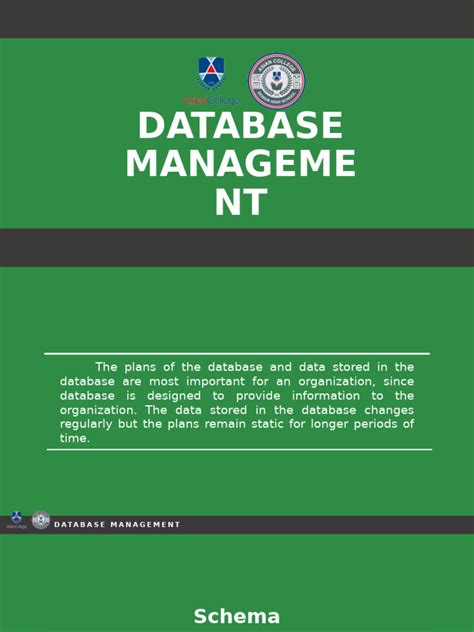 dataman lesson 3 pdf databases data model
