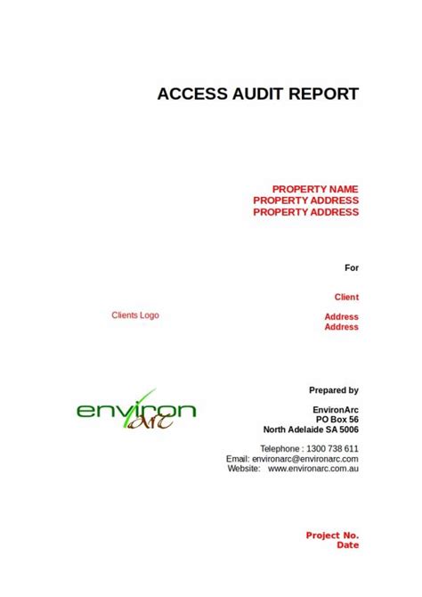 Access Audit Template