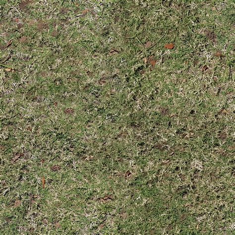 Tileable Repeating High Resolution Terrain Textures For Download