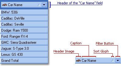 Field VCL DevExpress Documentation