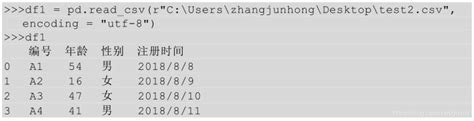 导入csv文件时encoding和engine的指定csv Encoding Csdn博客