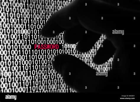 computer lcd monitor with binary code and password text great concept