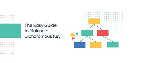 Dichotomous Key How To Create One With Customizable Examples Creately Dichotomous Key