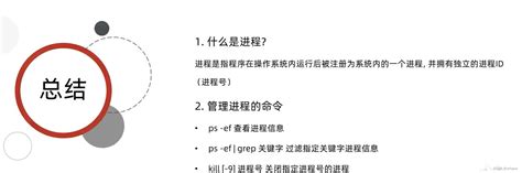 Linux：查看进程。