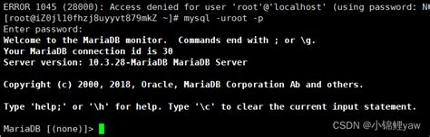 linux基本使用 csdn博客