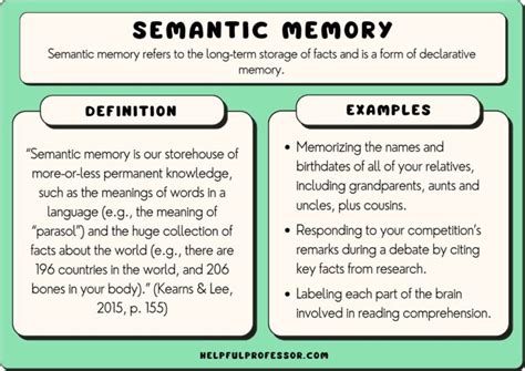 Semantic Memory Examples You Need To Know