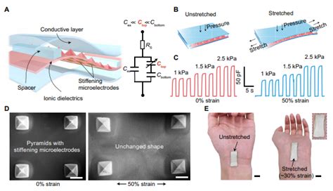 Technology A Stretchable And Strain Insensitive Pressure Sensor