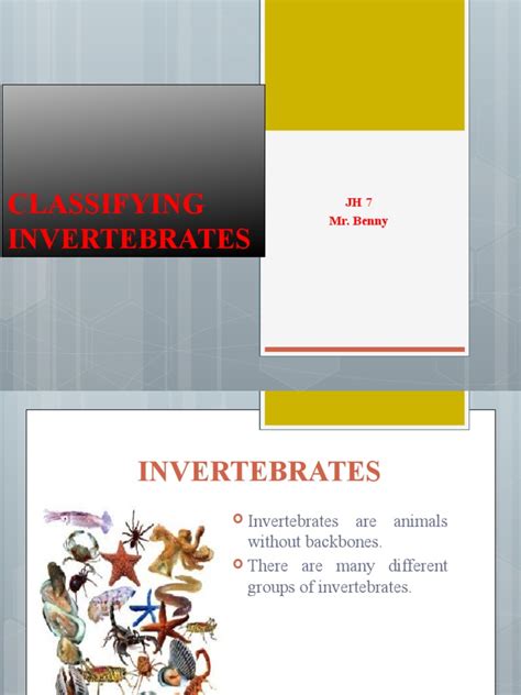 Classifying Invertebrates Pdf