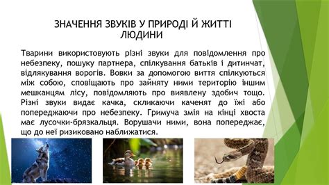 5 клас Презентація Звукові явища НУШ Презентація Пізнаємо природу