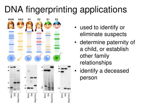 Ppt Biotechnology Powerpoint Presentation Free Download Id1606327