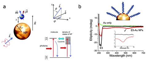 Chiral Plasmonic Biosensors