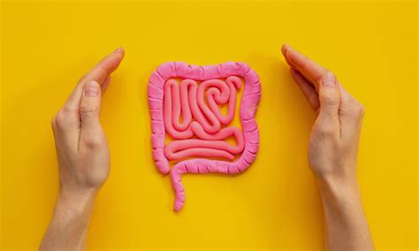 How To Improve Intestinal Health Naturally Discover Holistic Tips For