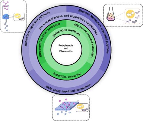 Schematical Representation Of Extraction And Separation And Download Scientific Diagram