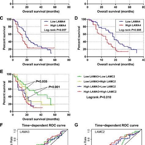 Survival And Survivalroc Analysis Of Lama3 And Lamc2 Expression In The