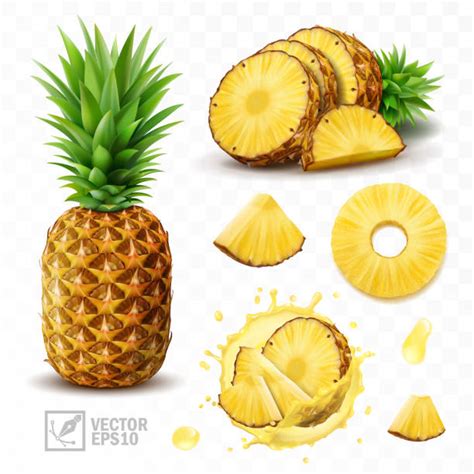 10 300 Pineapple Slice Stock Illustrations Royalty Free Vector
