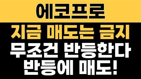 에코프로 주가전망 지금 매도 금지 무조건 반등에 매도 Youtube