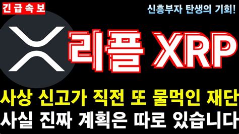 리플 Xrp 사상 신고가 직전에 또 물먹이는 재단 사실 진짜 계획은 따로 있습니다 리플 엑스알피 Xrp 리플코인 리플전망 리플코인전망 Youtube
