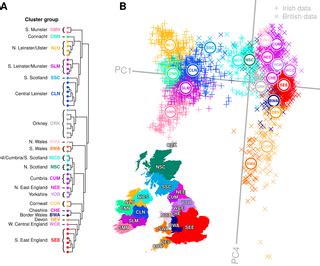Insular Celtic Population Structure And Genomic Footprints Of Migration