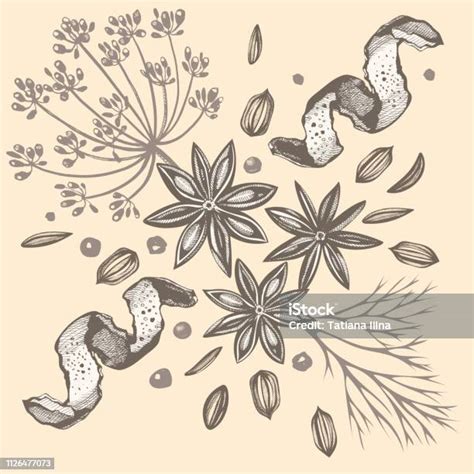 벡터 배경 손으로 그린 허브와 향신료 손으로 그린 잉크 그림입니다 유기농 및 신선한 향미료 그림 껍질에 대한 스톡 벡터 아트 및 기타 이미지 Istock